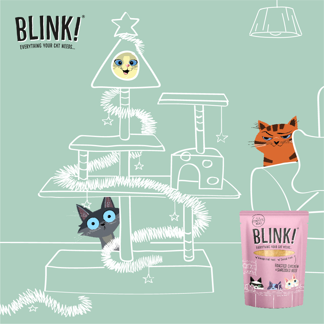 blink - may marketing